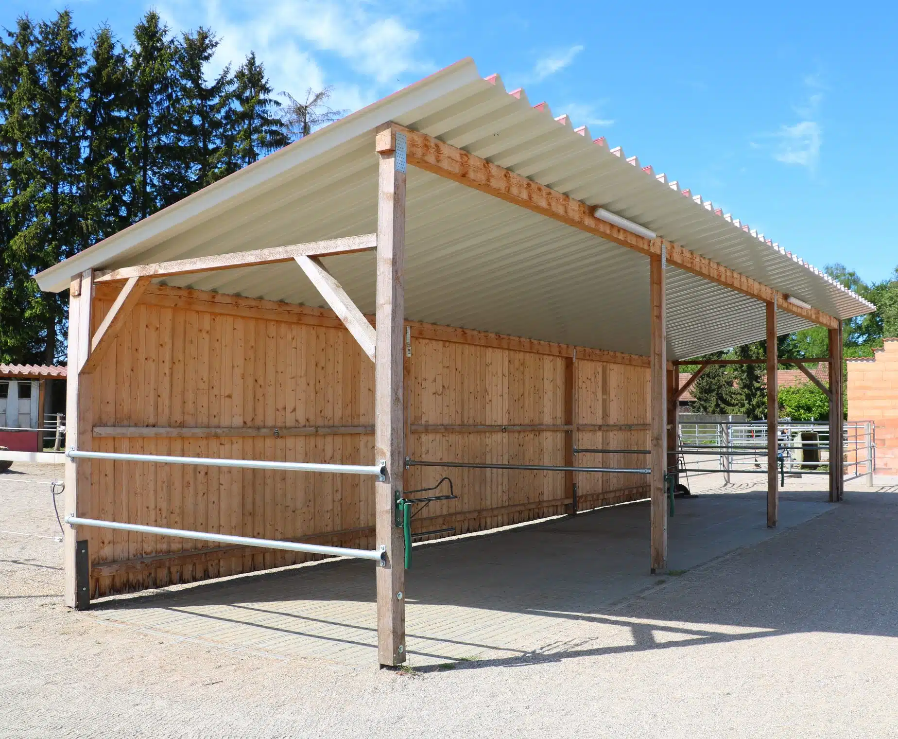 Betriebsreportage Pensionsstall und Reitschule Schwabhof - Pferdebetrieb